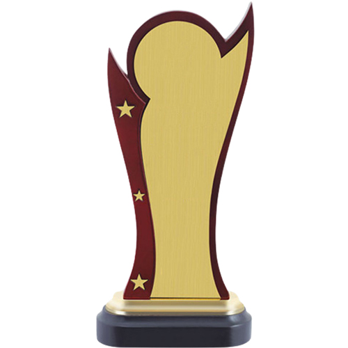 Wooden Trophy Designs